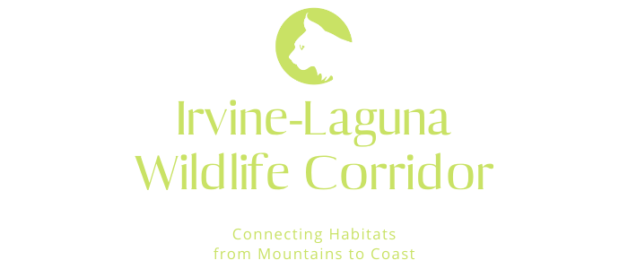 Copy of Final ILWC Logo Samples – The Irvine-Laguna Wildlife Corridor